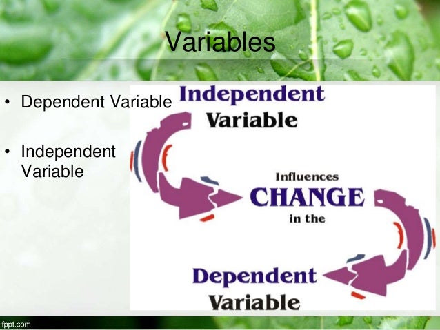 Biology Unit 1 Chapter 1 Lecture