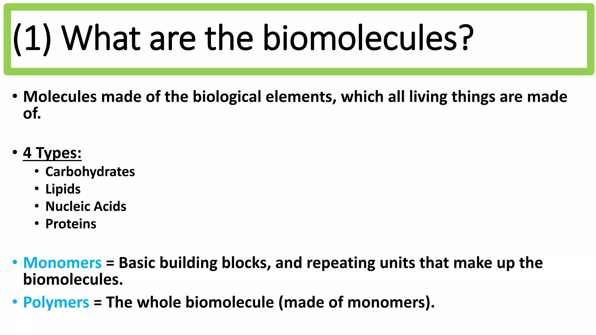 Biology Unit 1 Notes: Biomolecules | PPTX