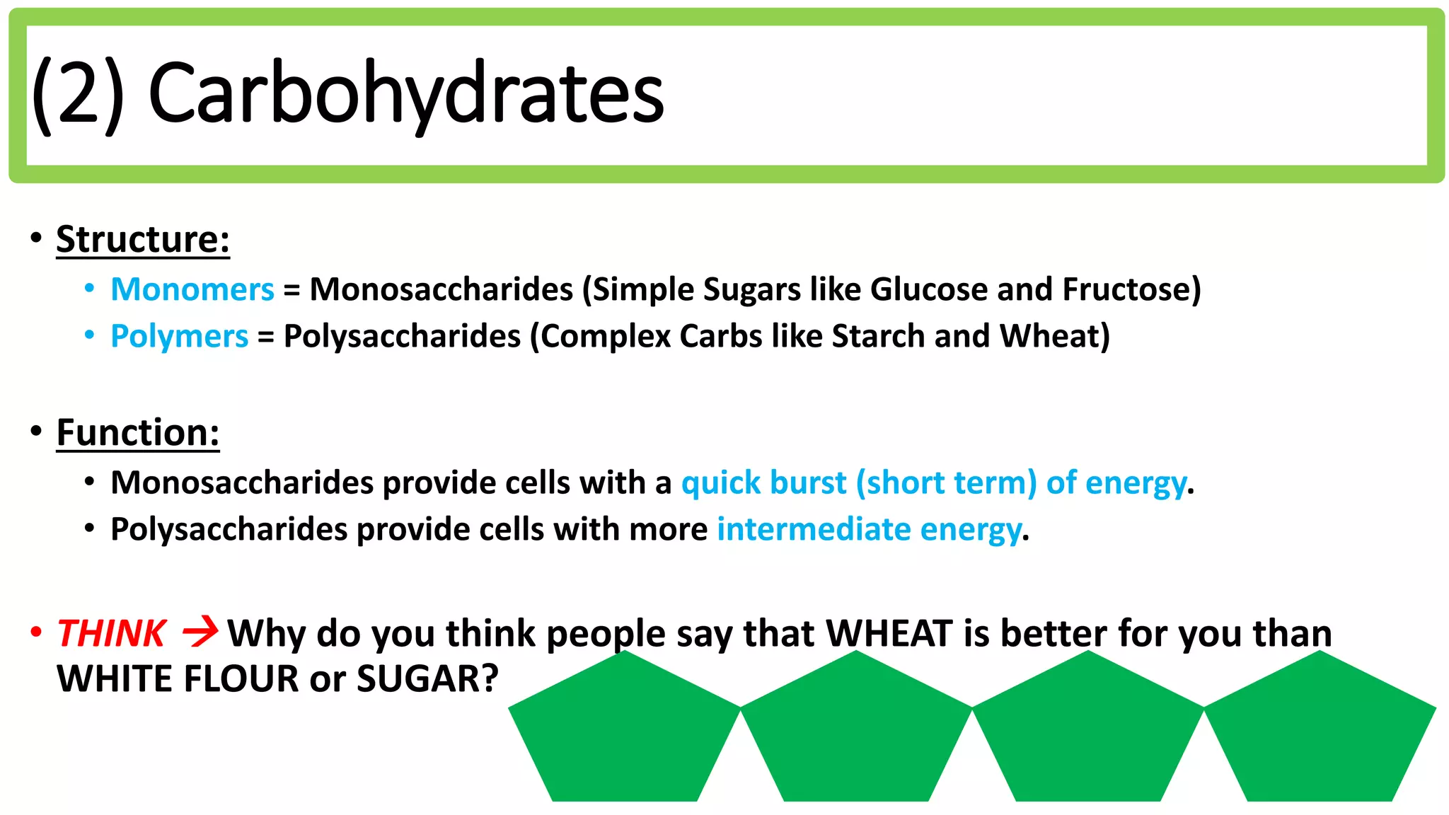 Biology Unit 1 Notes: Biomolecules | PPTX