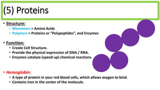 Biology Unit 1 Notes: Biomolecules | PPTX