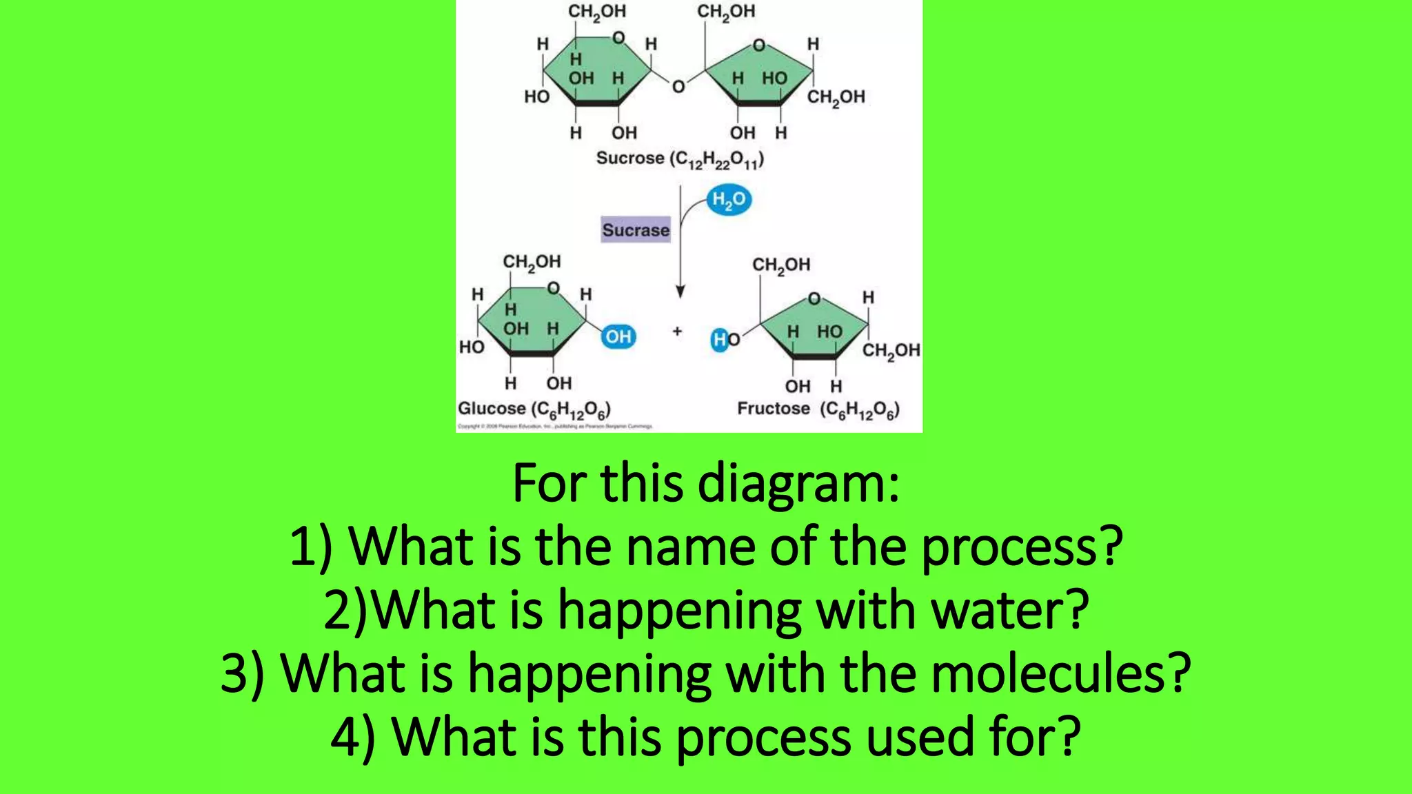 Biology Unit 1 Exam Review Flashcards | PPTX | Chemistry | Science