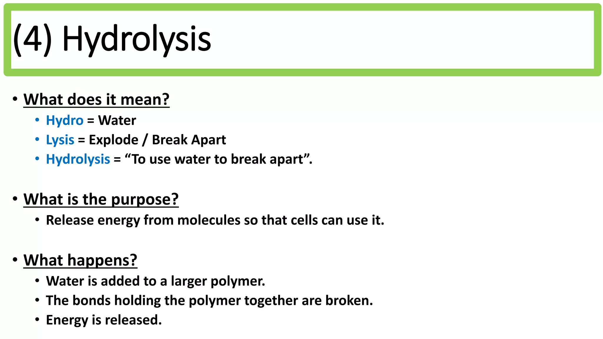 Biology Unit 1 Notes: Metabolism, Energy & Homeostasis | PPTX