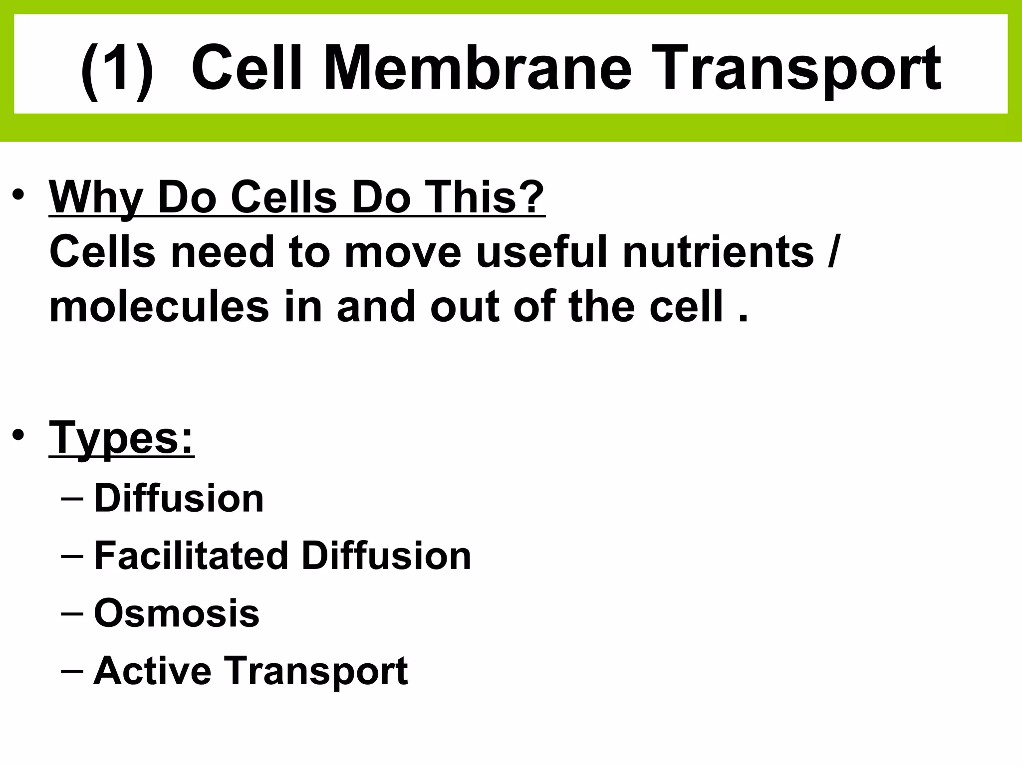Biology unit 2 cells cell membrane transport notes | PPT