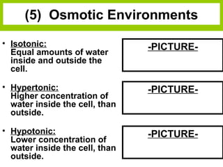 Biology unit 2 cells cell membrane transport notes | PPT