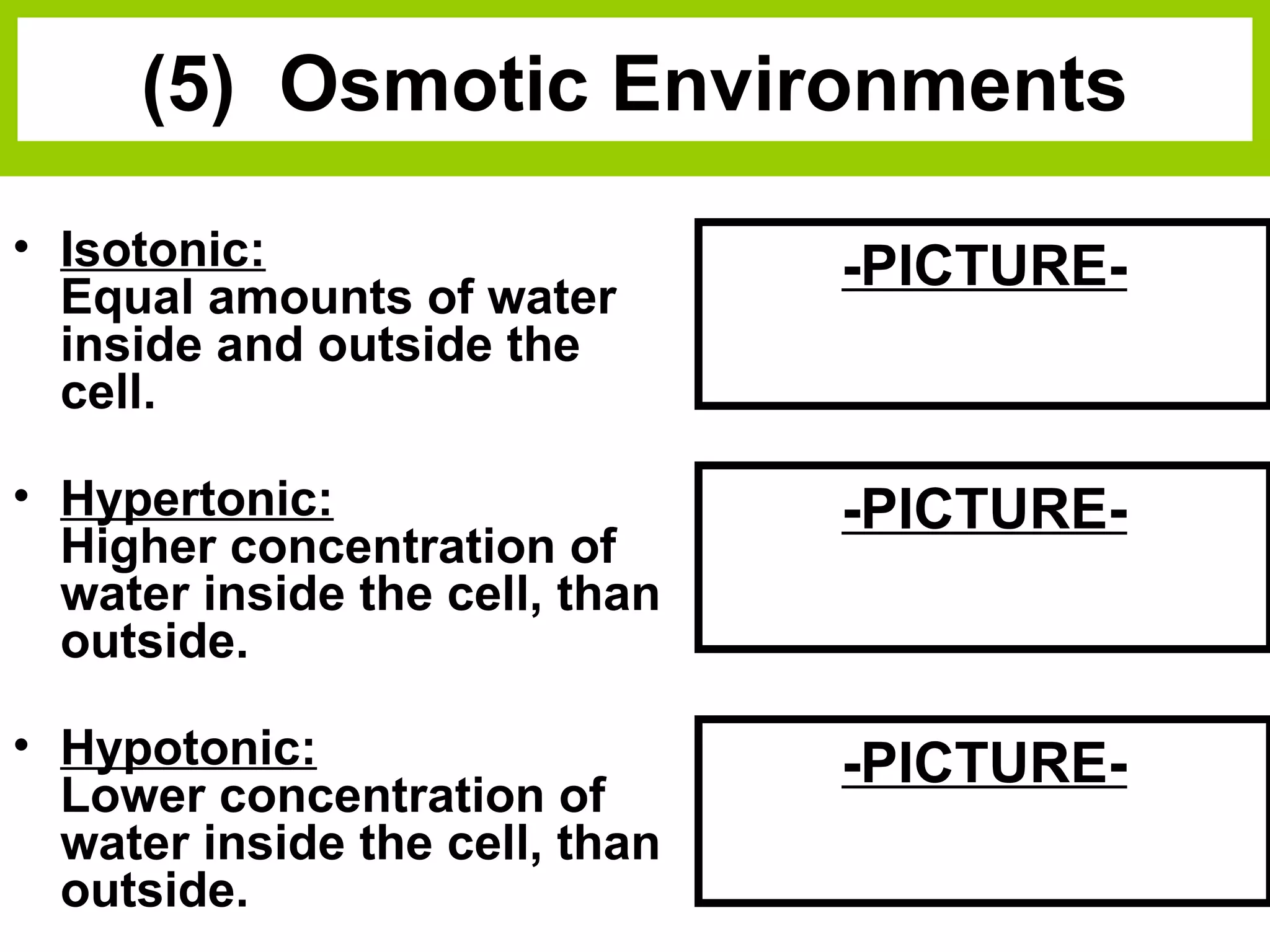 Biology unit 2 cells cell membrane transport notes | PPT