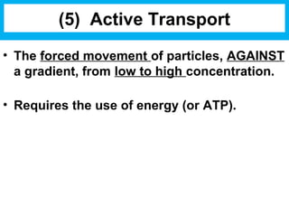 Biology Unit 2 Notes: Cell Membrane Transport | PPT