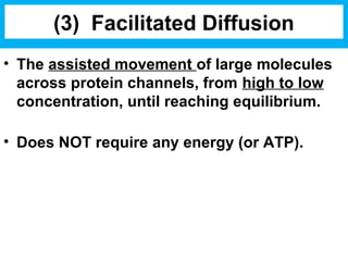 Biology Unit 2 Notes: Cell Membrane Transport | PPT