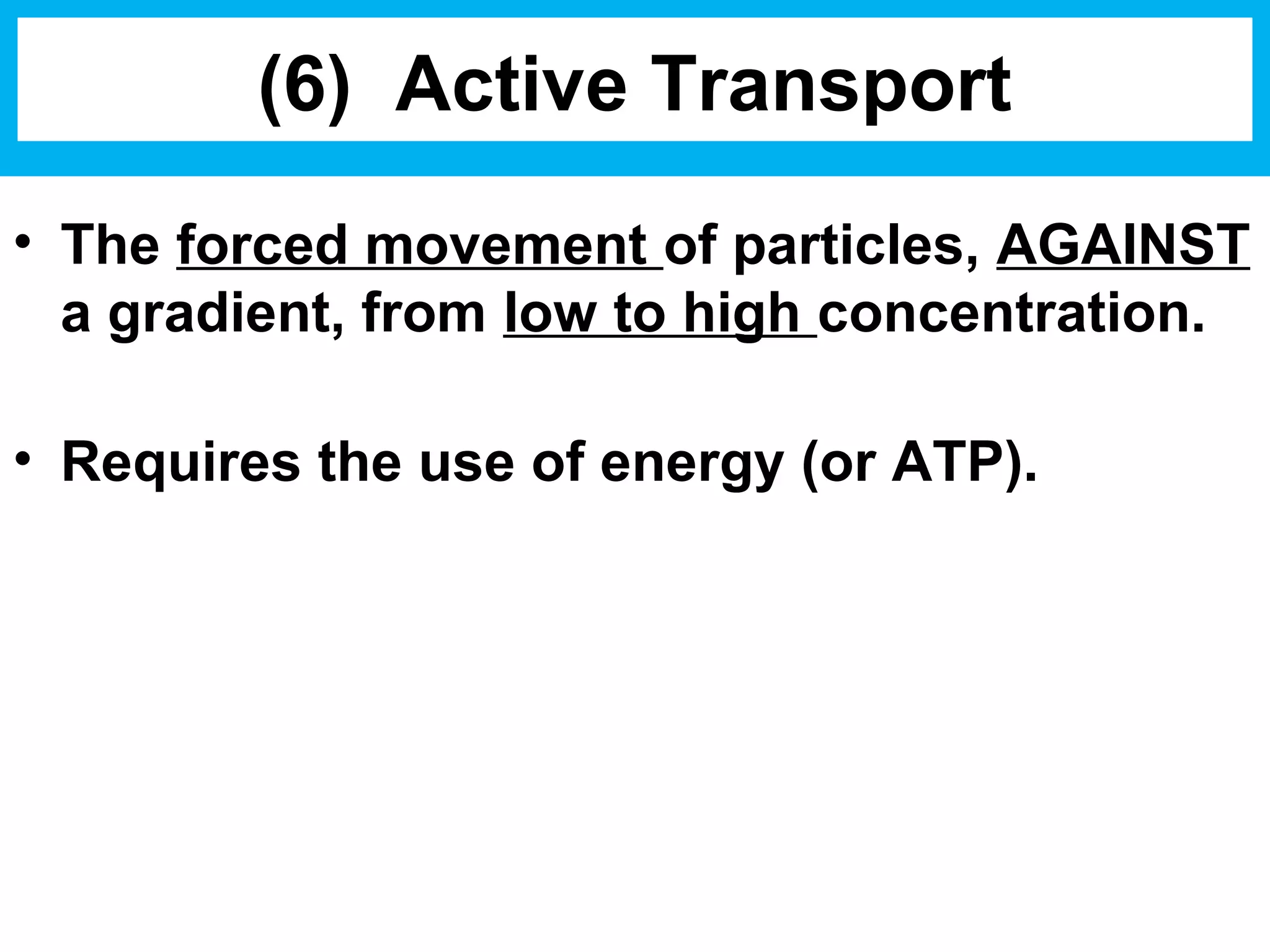 Biology Unit 2 Notes: Cell Membrane Transport | PPT