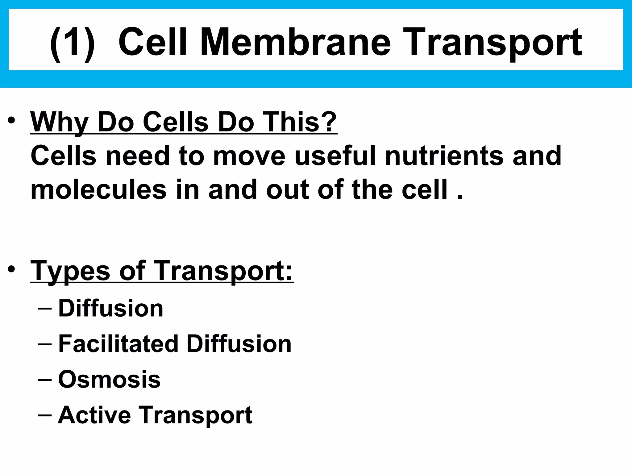 Biology Unit 2 Notes: Cell Membrane Transport | PPT
