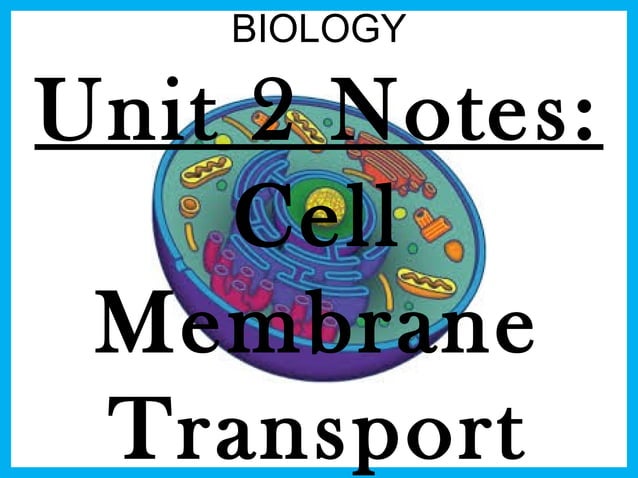 Biology Unit 2 Notes: Cell Membrane Transport | PPT