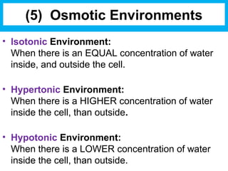 Biology Unit 2 Notes: Cell Membrane Transport | PPT