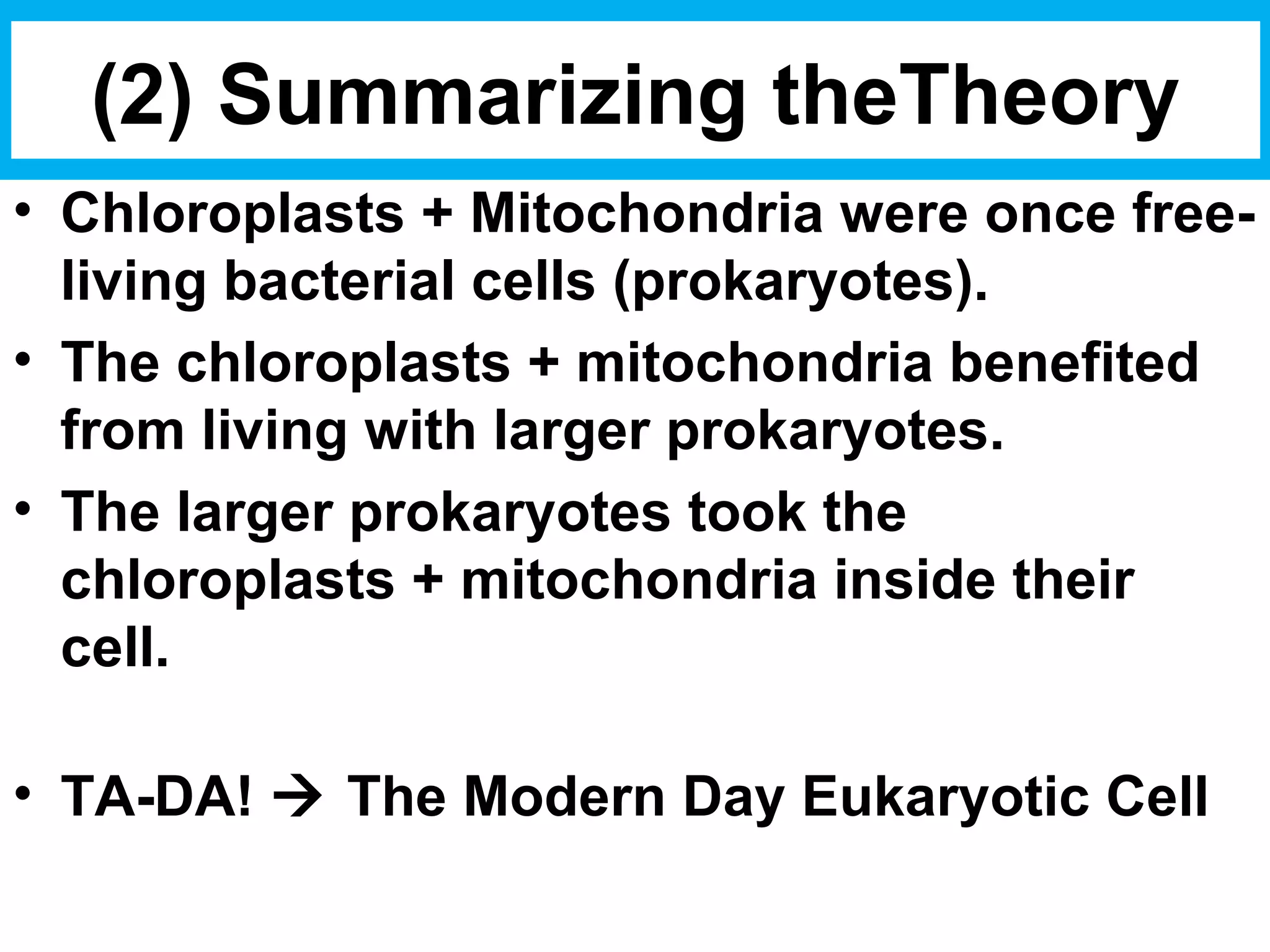 Biology Unit 2 Notes: The Endosymbiotic Theory | PPT | Biological ...