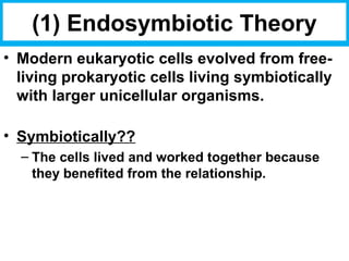 Biology Unit 2 Notes: The Endosymbiotic Theory | PPT | Biological ...