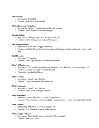 Biology unit 2 cells exam everything you need to know and extra review ...