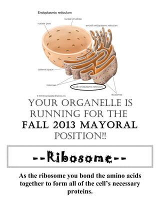 Biology unit 2 cells organelle campaign | DOC