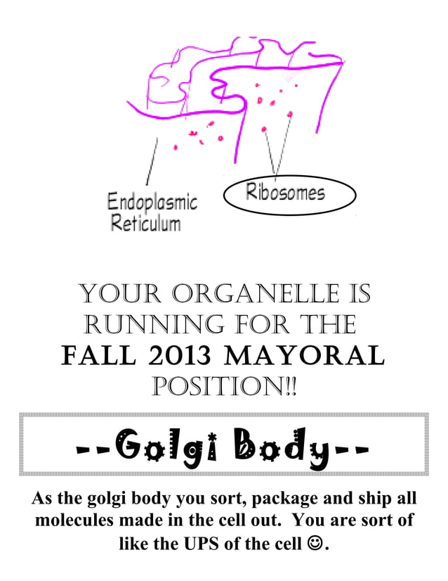 Biology unit 2 cells organelle campaign | PDF