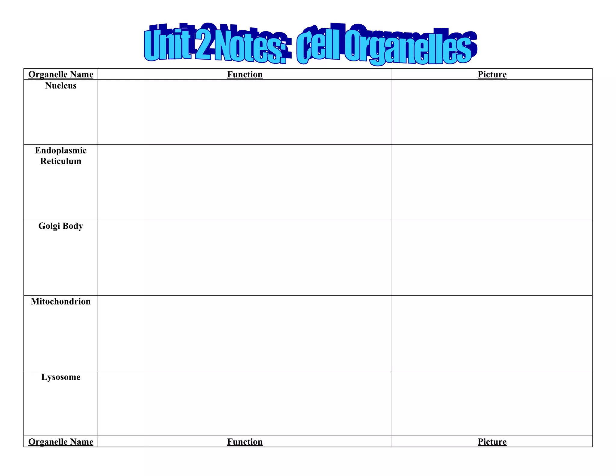 Biology unit 2 cells organelle notes template worksheet | PPT