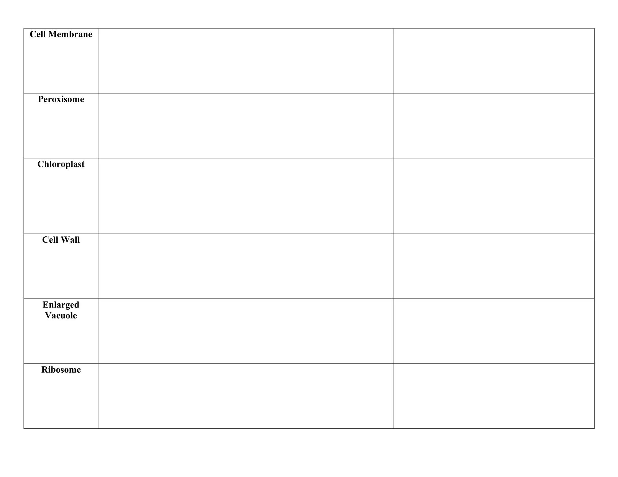 Biology unit 2 cells organelle notes template worksheet | DOC