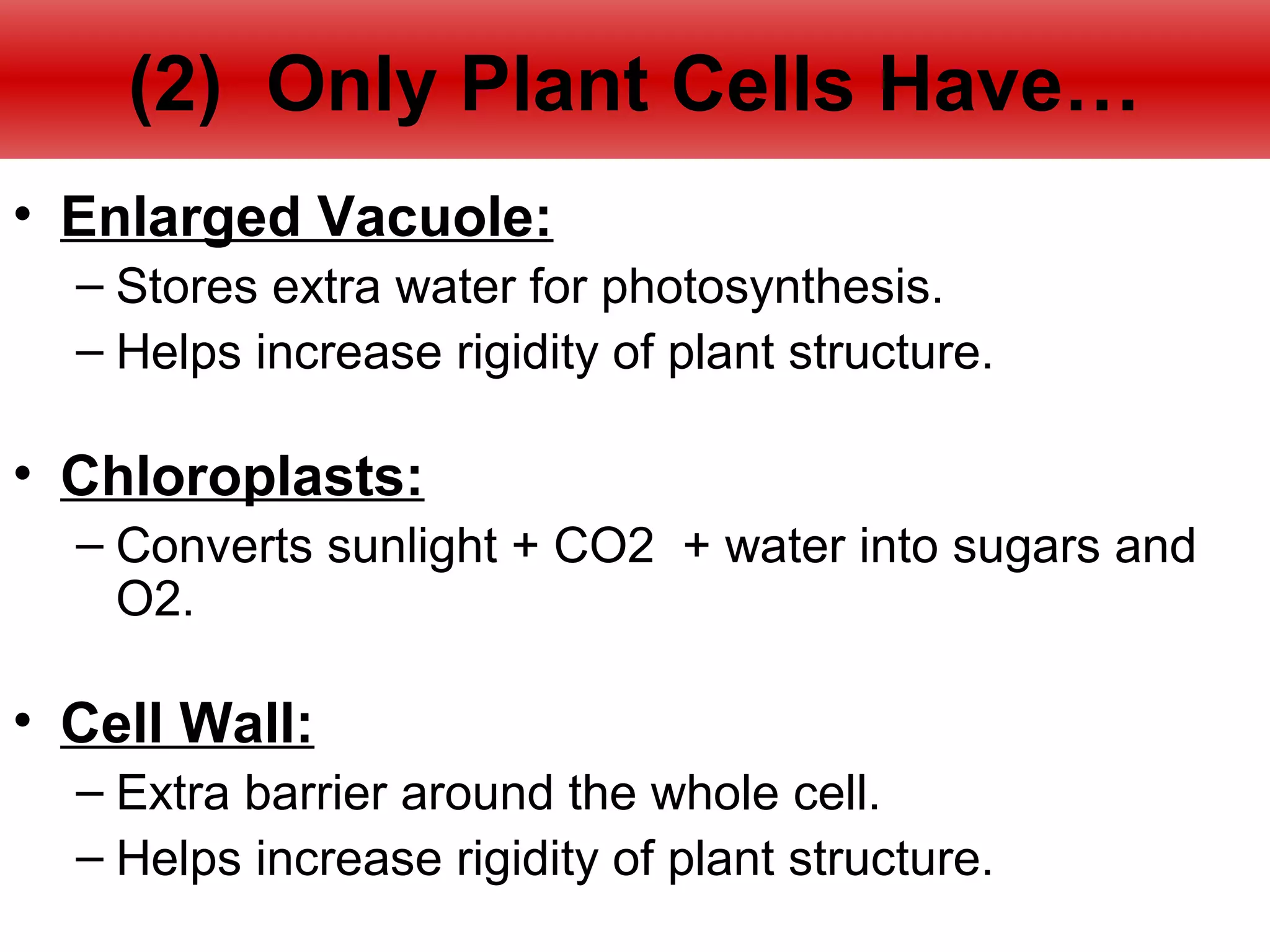 Biology unit 2 cells plant and animal cell notes | PPT | Biological ...