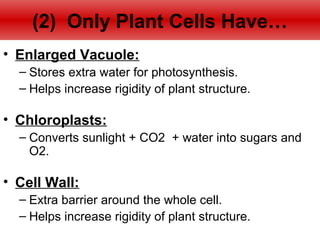 Biology unit 2 cells plant and animal cell notes | PPT