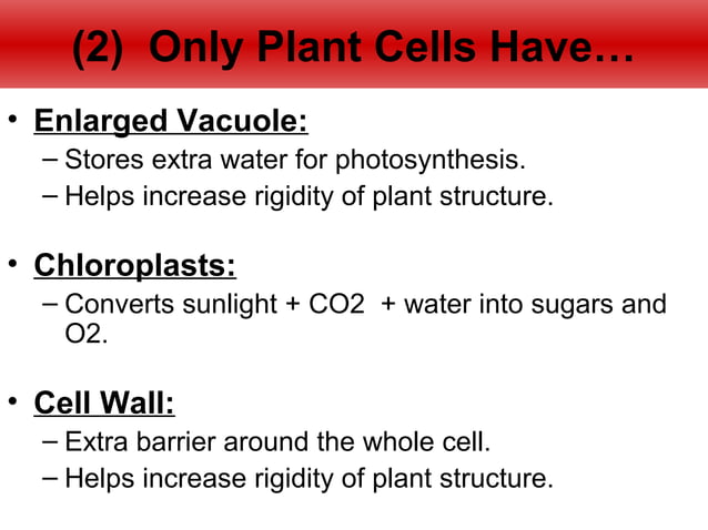 Biology unit 2 cells plant and animal cell notes | PPT | Biological ...