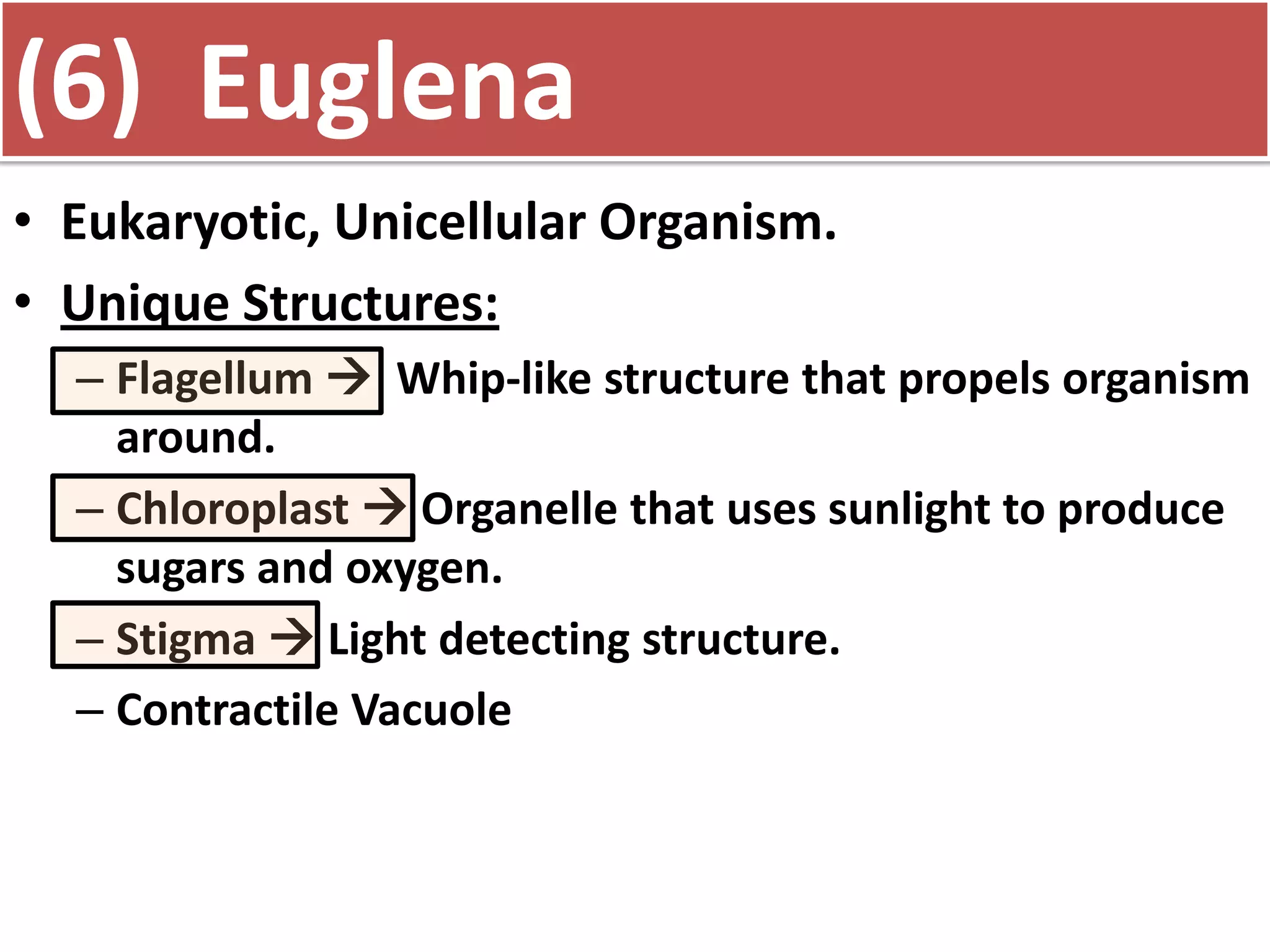 Biology unit 2 cells types of cells notes | PPTX
