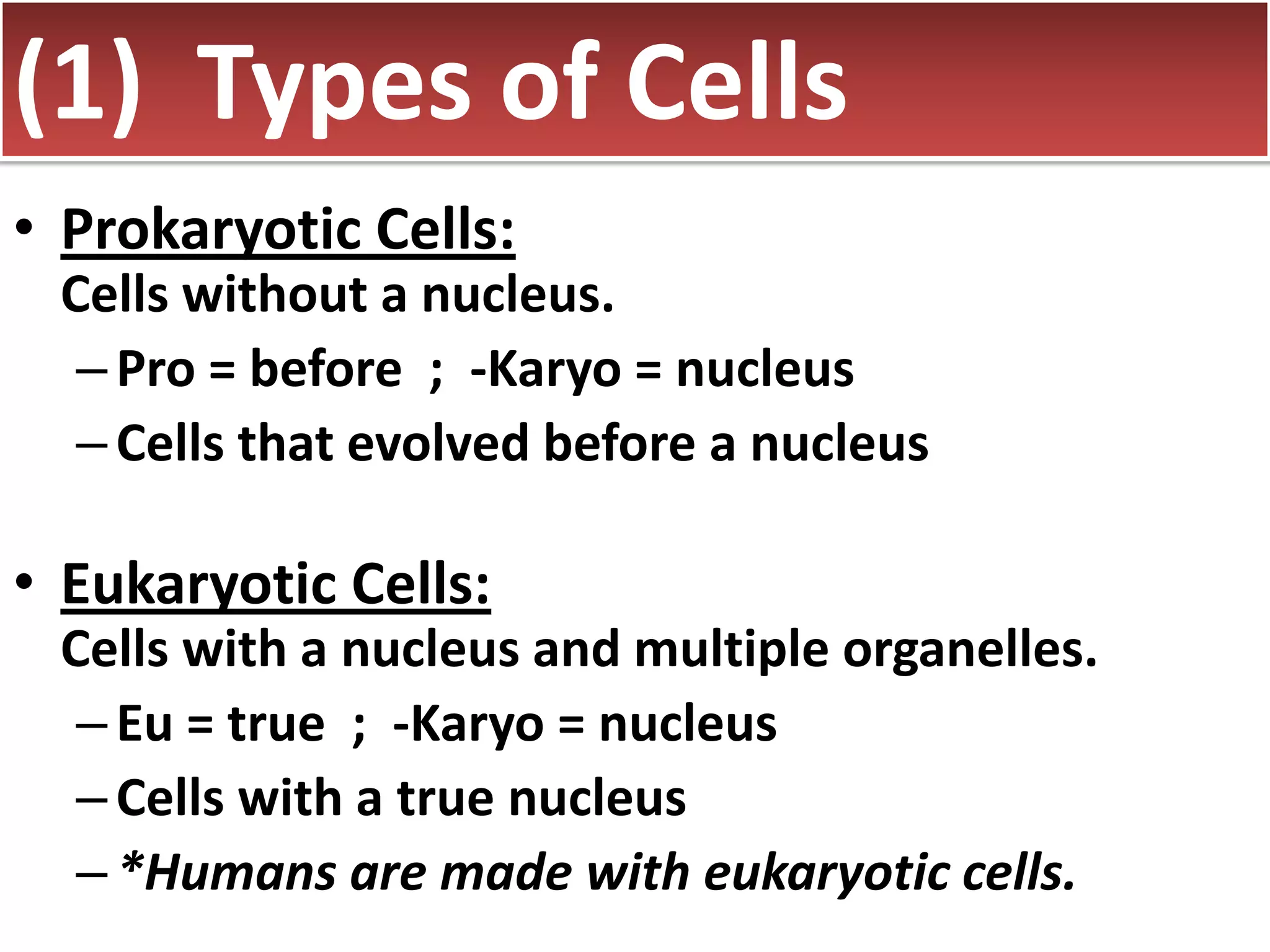 Biology unit 2 cells types of cells notes | PPTX