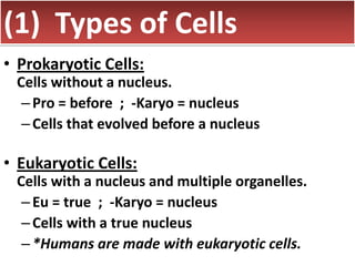 Biology unit 2 cells types of cells notes | PPTX