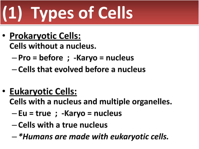 Biology unit 2 cells types of cells notes | PPTX | Biological Sciences ...