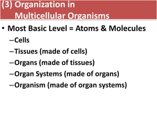 Biology unit 2 cells types of cells notes | PPTX | Biological Sciences ...