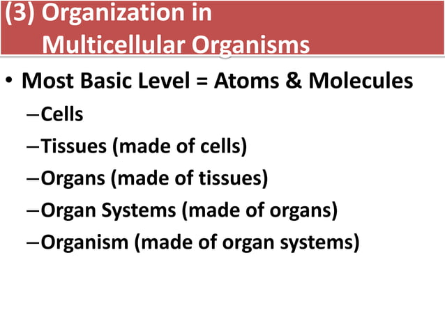 Biology unit 2 cells types of cells notes | PPTX | Biological Sciences ...