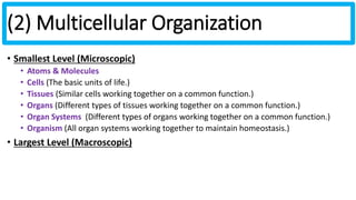 Biology Unit 2 Notes: Cells | PPTX | Biological Sciences | Science