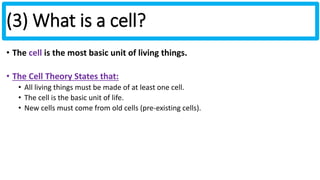 Biology Unit 2 Notes: Cells | PPTX | Biological Sciences | Science