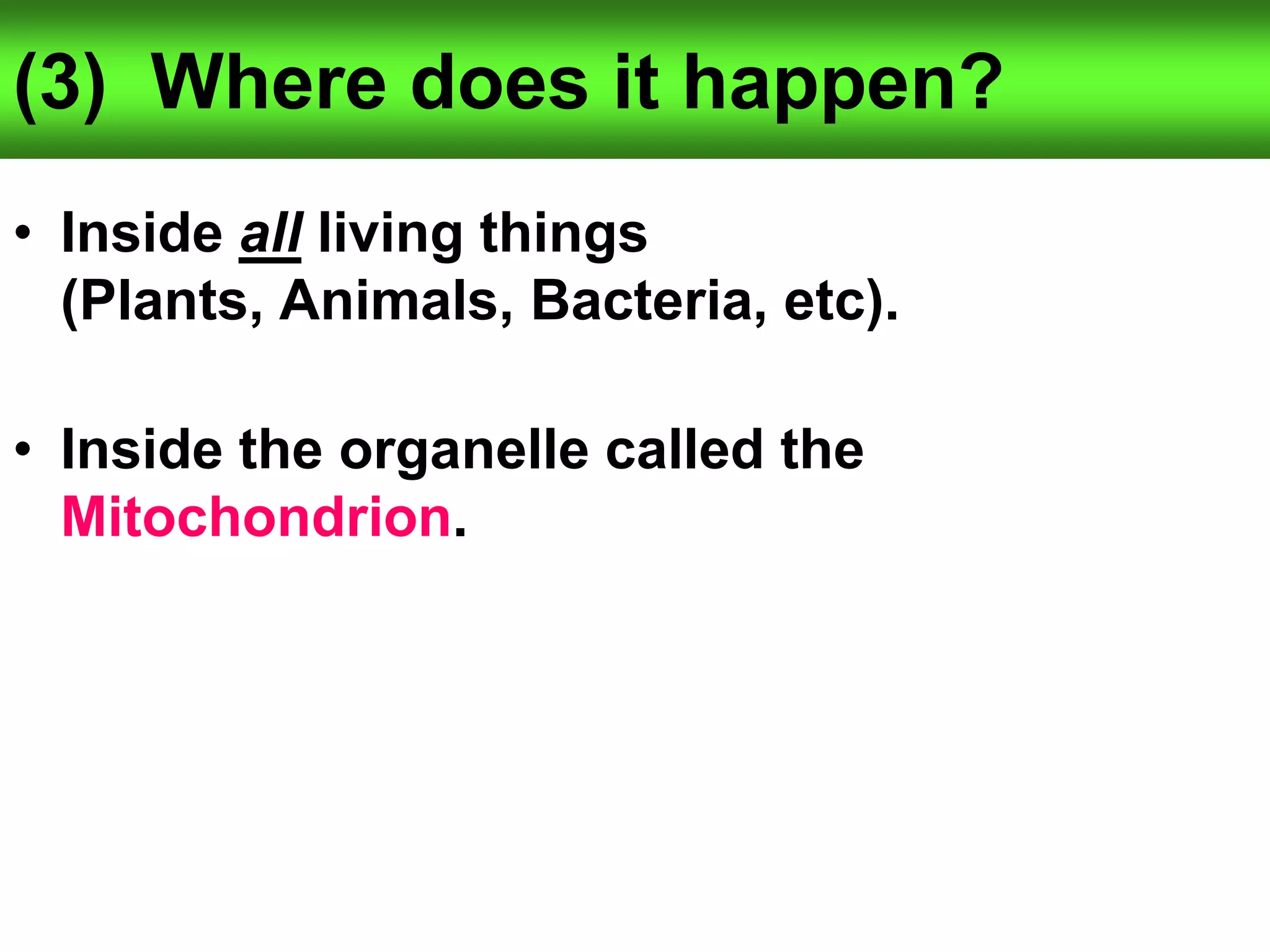 Biology unit 3 cell energy cellular respiration notes | PPT