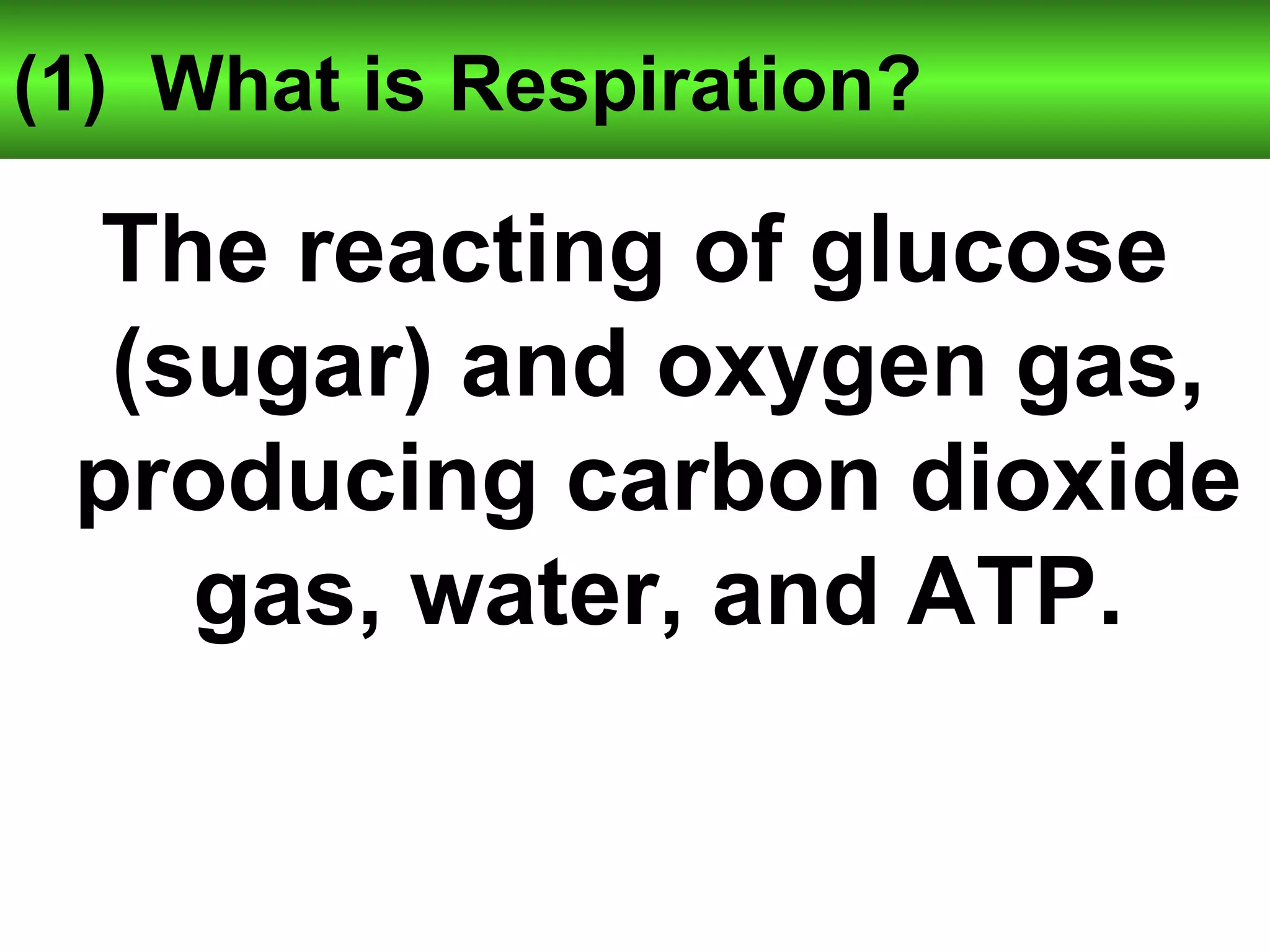 Biology Unit 3 Notes: Cellular Respiration | PPT | Chemistry | Science