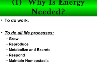 Biology unit 3 cell energy intro to energy notes | PPT