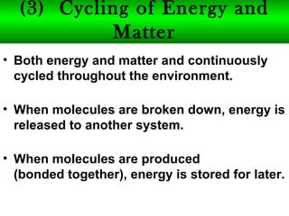 Biology unit 3 cell energy intro to energy notes | PPT