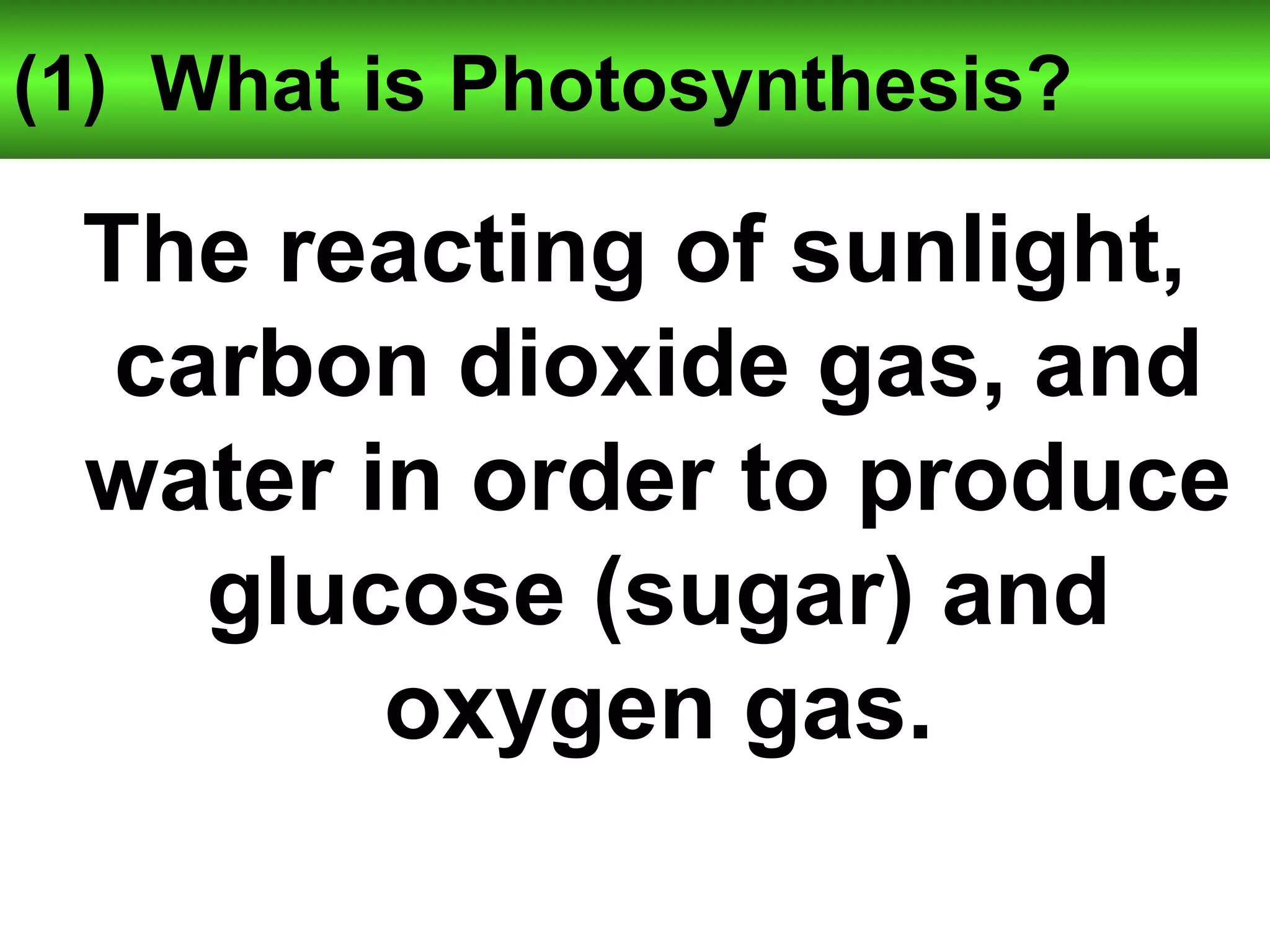 Biology unit 3 cell energy photosynthesis notes | PPT