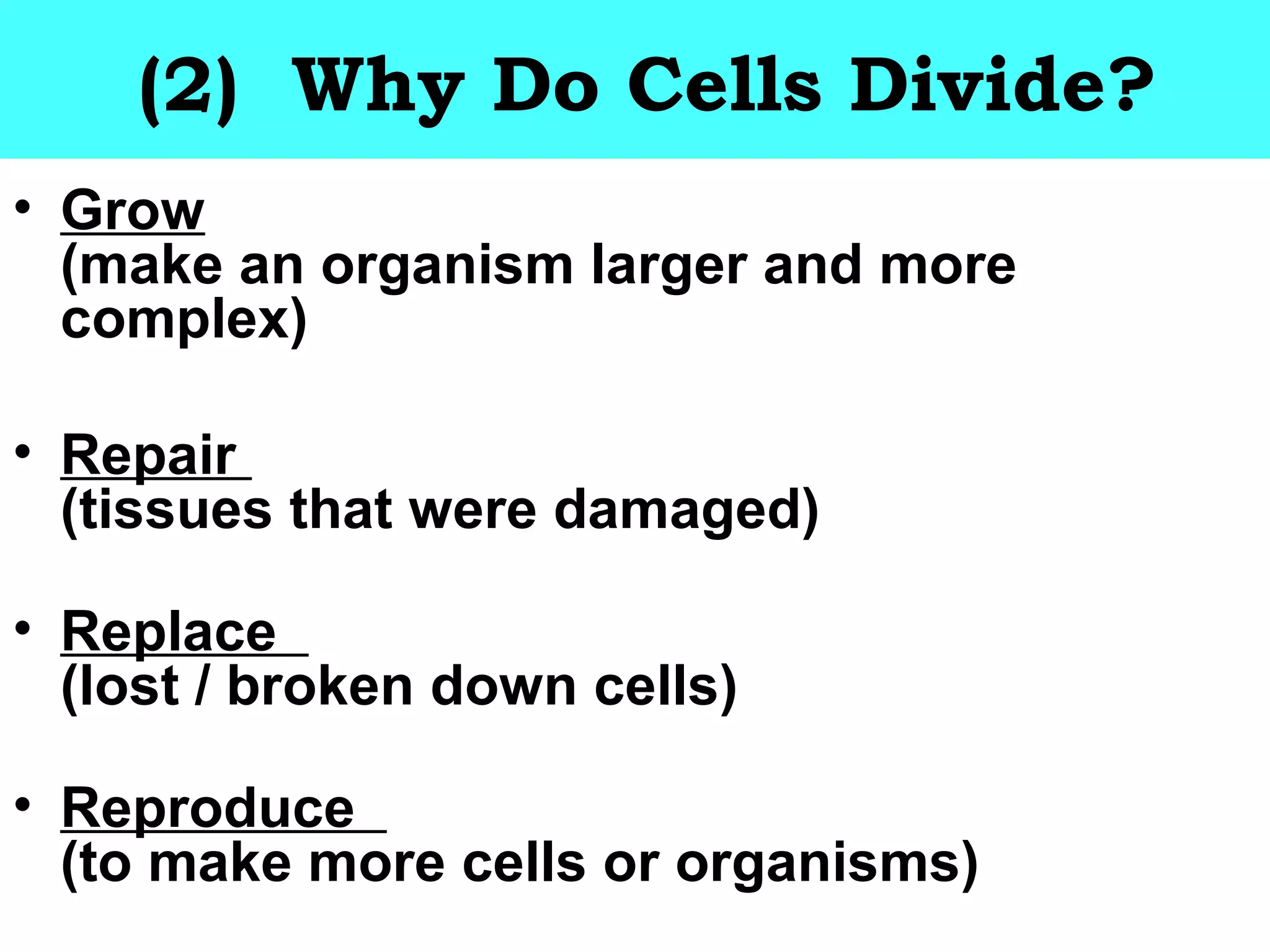 Biology unit 4 cell division cell division basics and the cell cycle ...