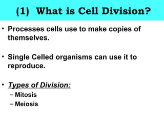 Biology unit 4 cell division cell division basics and the cell cycle ...