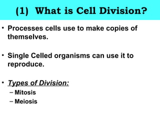 Biology Unit 4: Cell Cycle & Cell Division Basics Notes | PPT