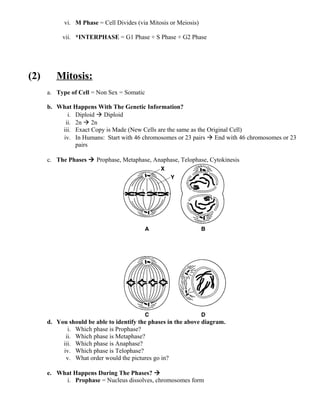 Biology unit 4 cell division exam everything you need to know | DOC ...