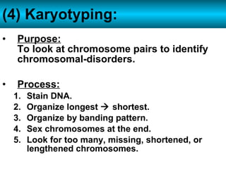 Biology Unit 4 Notes: Reproduction & Karyotyping | PPT