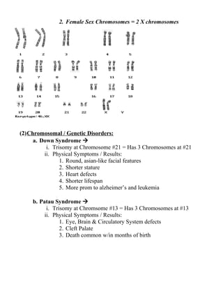 Biology unit 4 cell division karyotyping quiz everything you need to ...