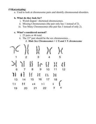 Achondroplasia Karyotype Chromosome 4