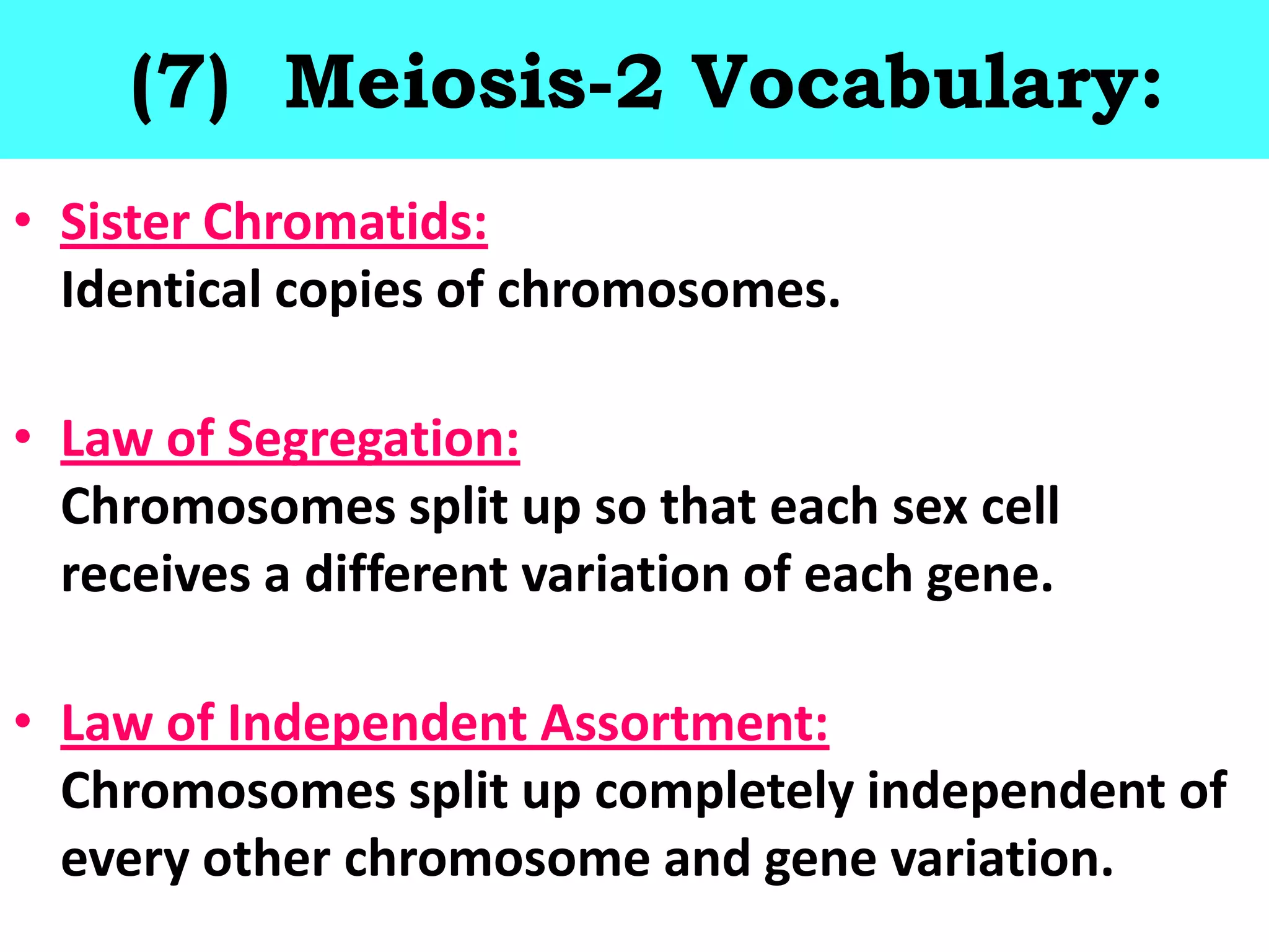Biology unit 4 cell division meiosis notes | PPTX