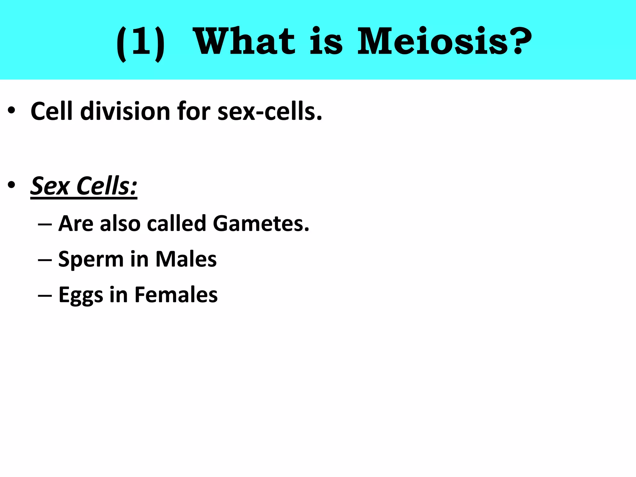 Biology unit 4 cell division meiosis notes | PPTX