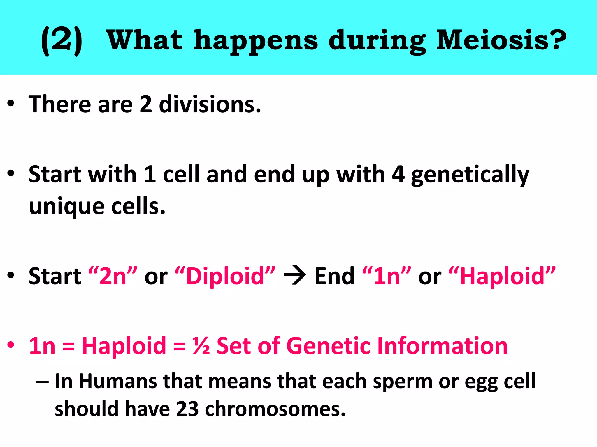 Biology unit 4 cell division meiosis notes | PPTX