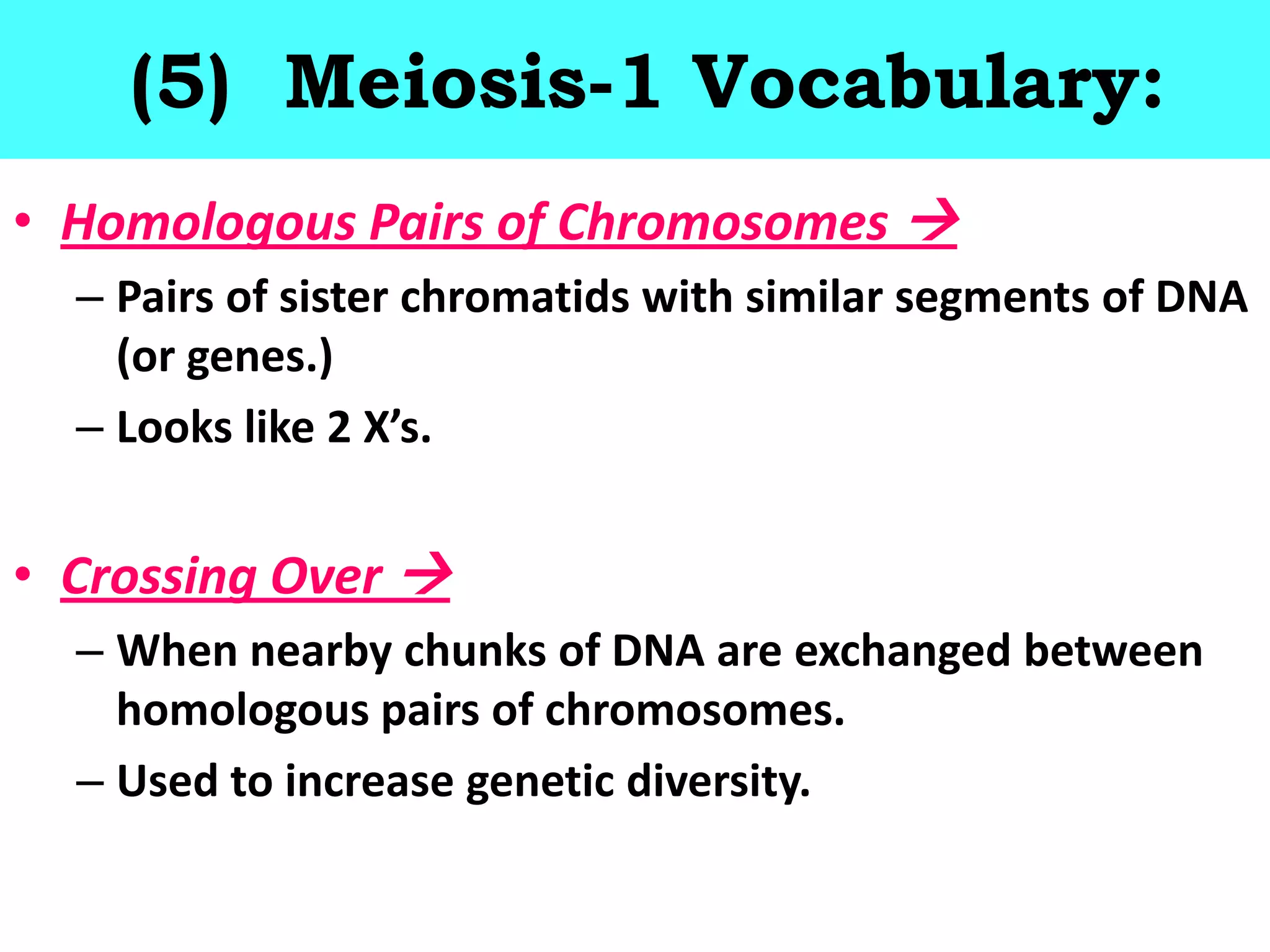 Biology unit 4 cell division meiosis notes | PPTX