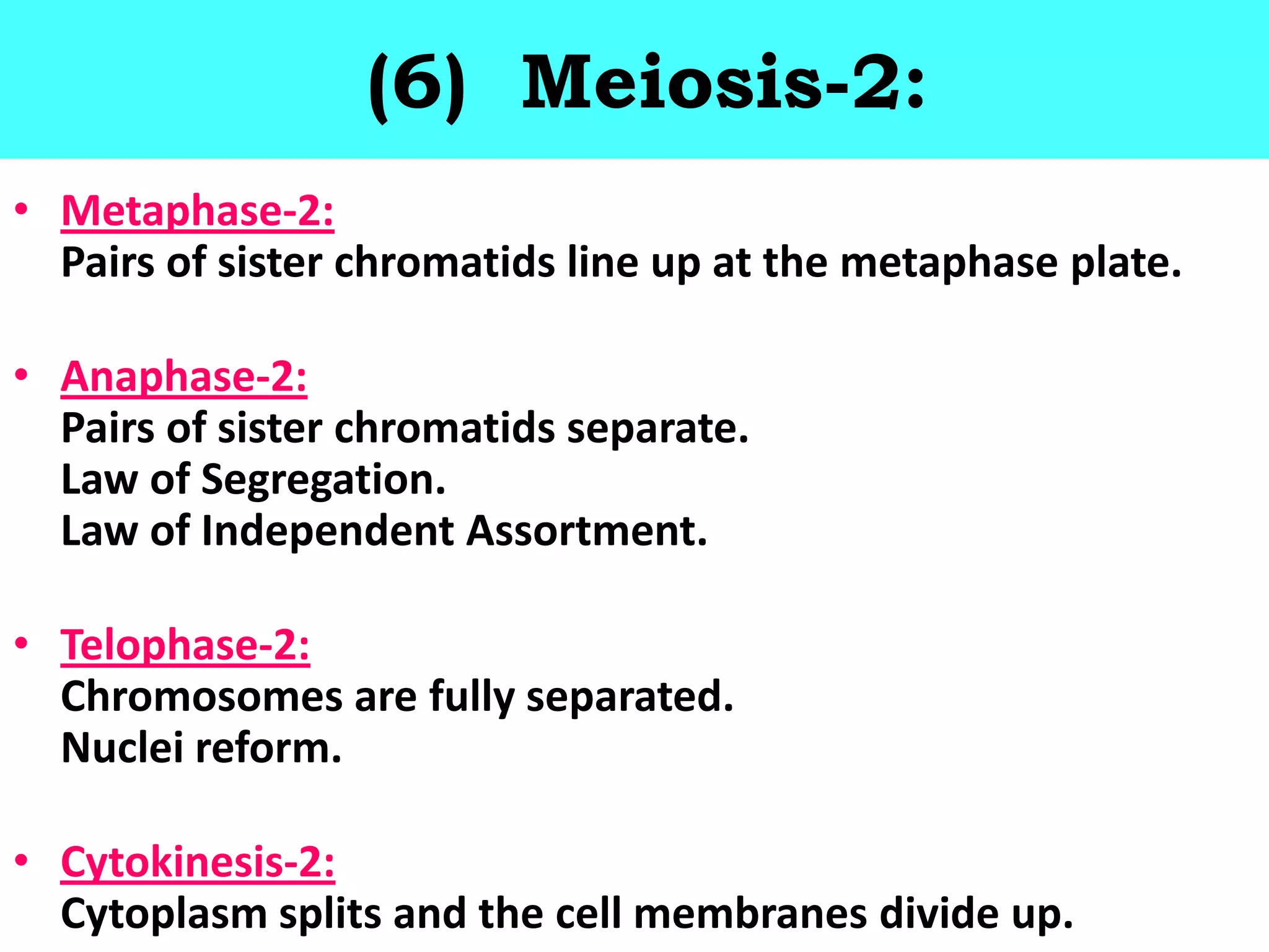 Biology unit 4 cell division meiosis notes | PPTX